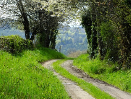 Morvan Rhapsodie, la nouvelle rhapsodie de Jean-Christophe Zounia ...