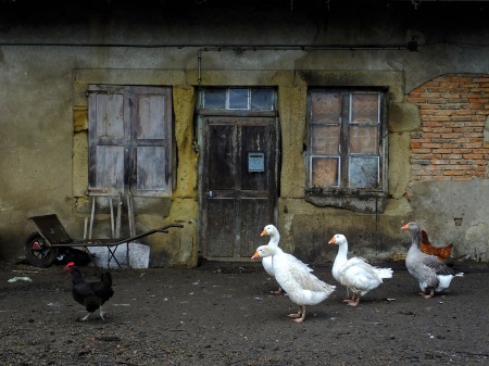 Morvan Rhapsodie, la nouvelle rhapsodie de Jean-Christophe Zounia ...